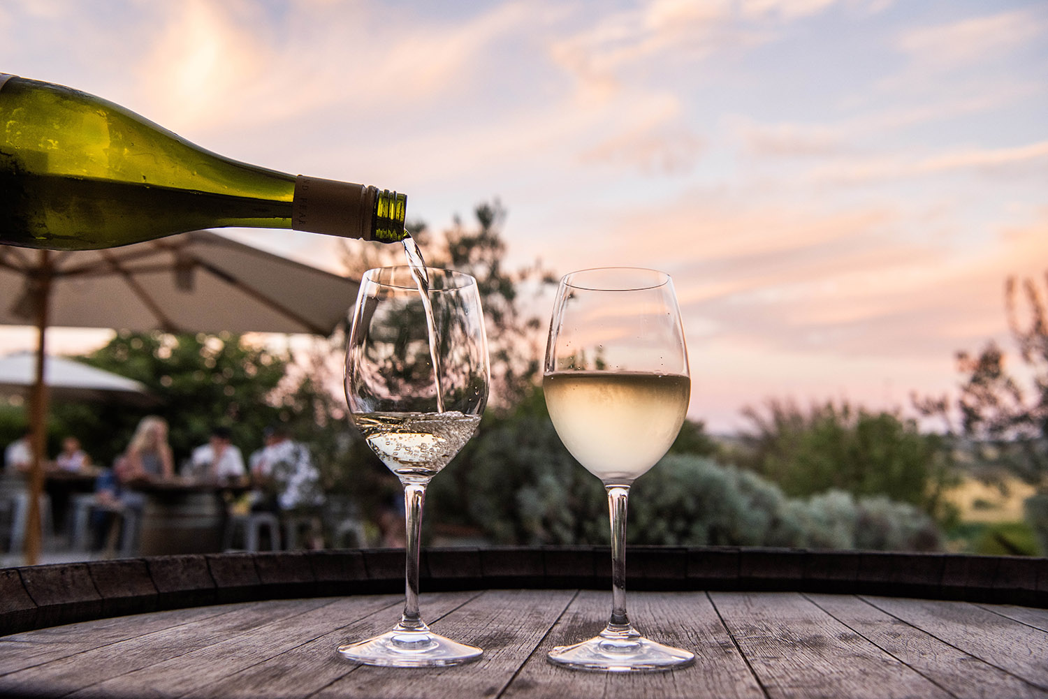 Exploring Mudgee Wineries – McKenna Terraces